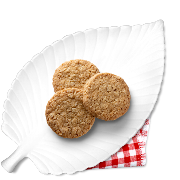 Hafer Cookies zuckerfrei - 200g (nur ca. 3g anrechenb. KH/Keks ...